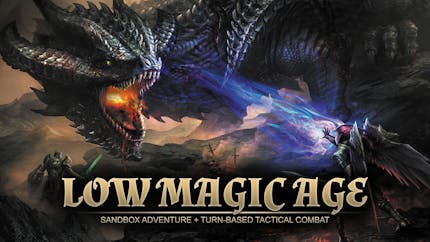 Low Magic Age | PC Steam Game | Fanatical